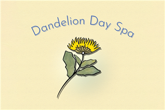 Dandelion Day Spa - San Antonio TX | Vagaro